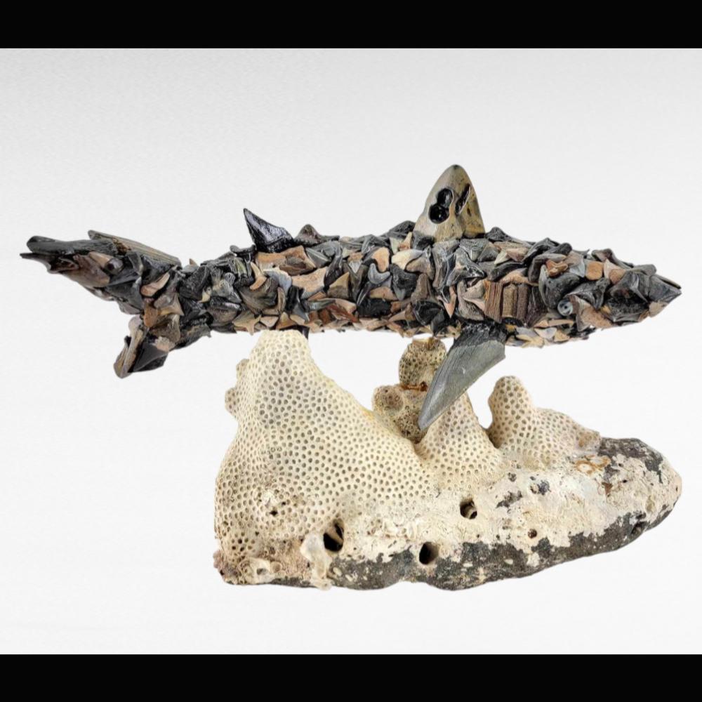 Shark Tooth Art