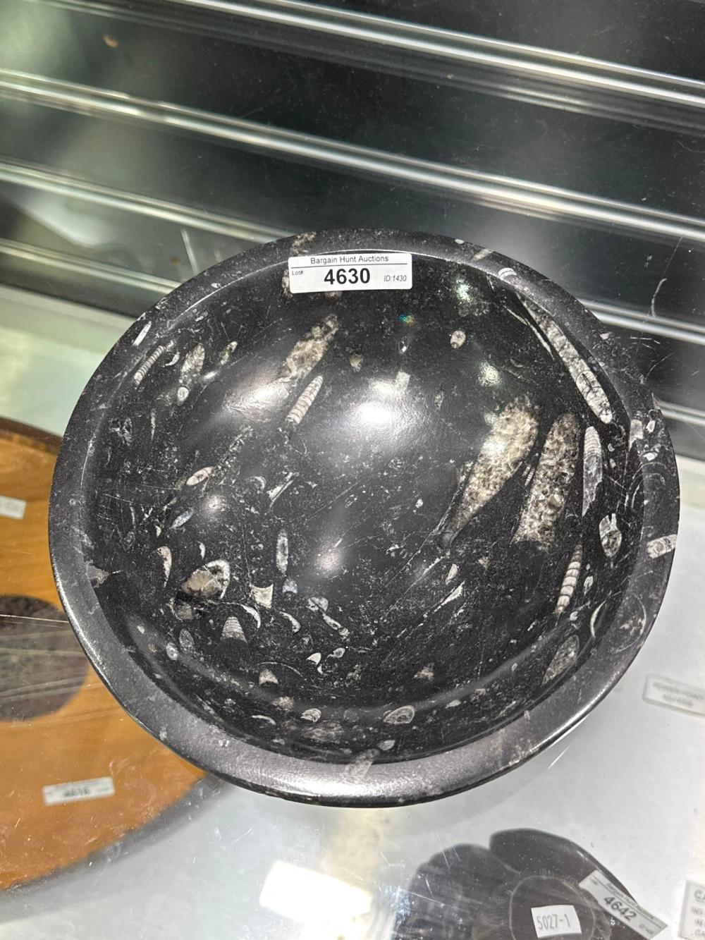 At Auction: Devonian Age fossil marble display bowl, 20.3cm diameter