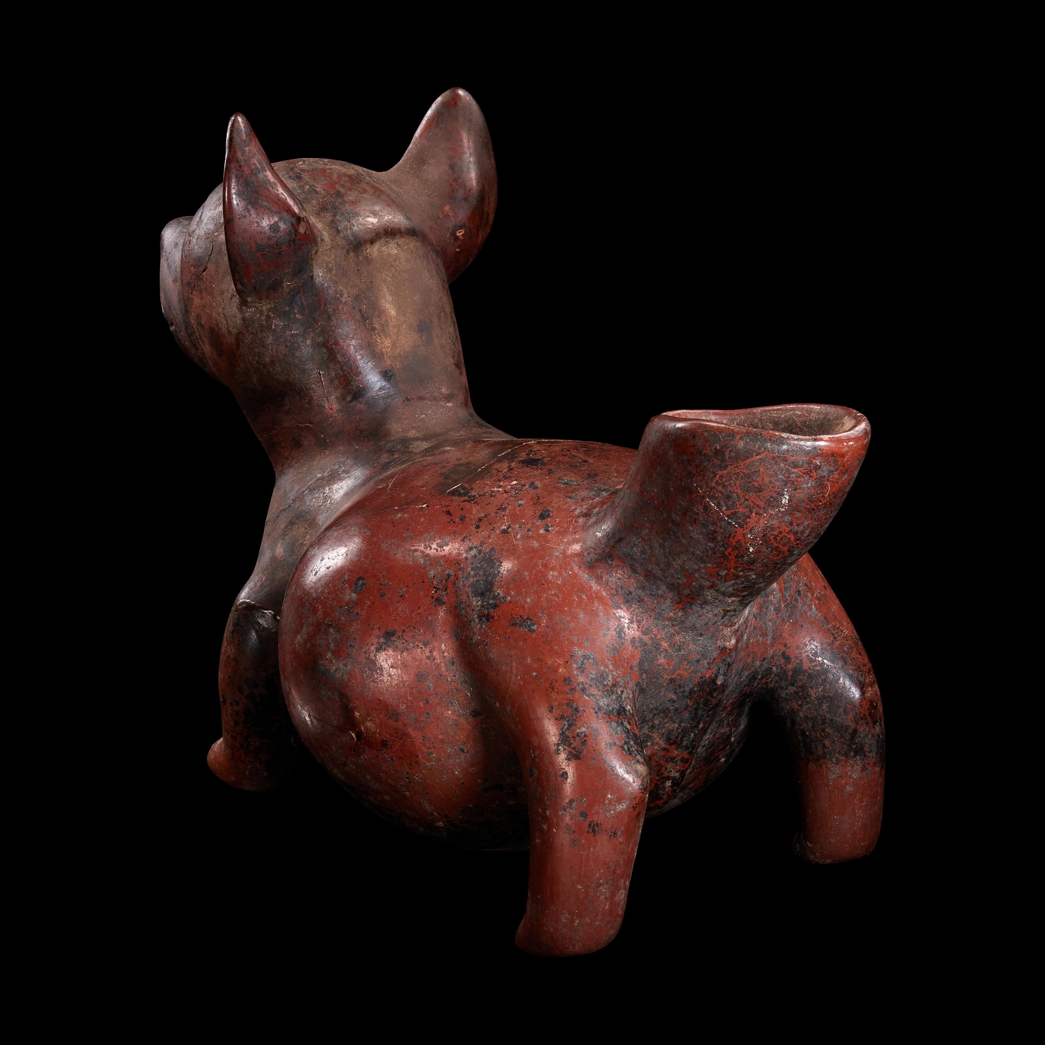Bid Now: A Colima Dog Effigy Vessel - November 4, 0122 10:00 AM CST