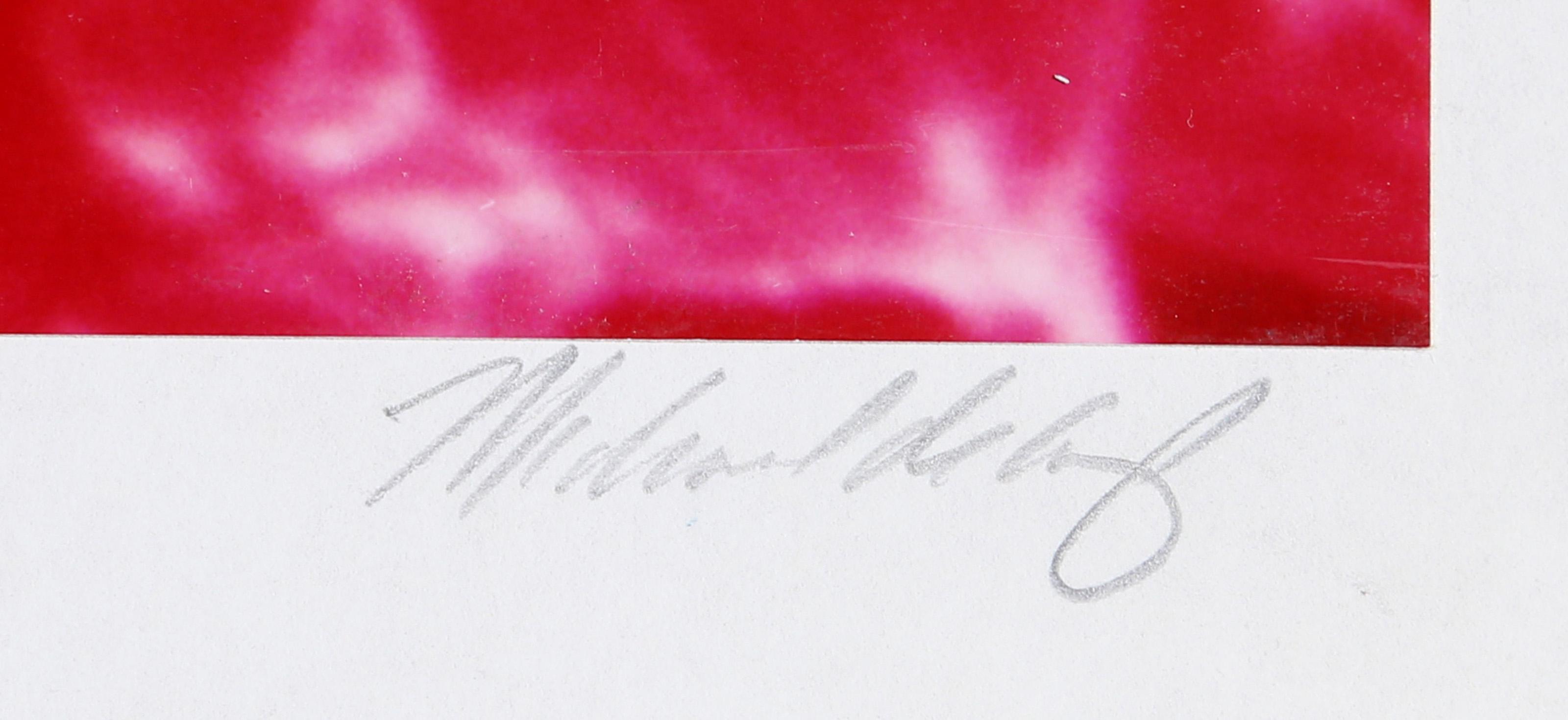 Lot - MICHAEL DECAMP, RED WAVE, PHOTOGRAPH