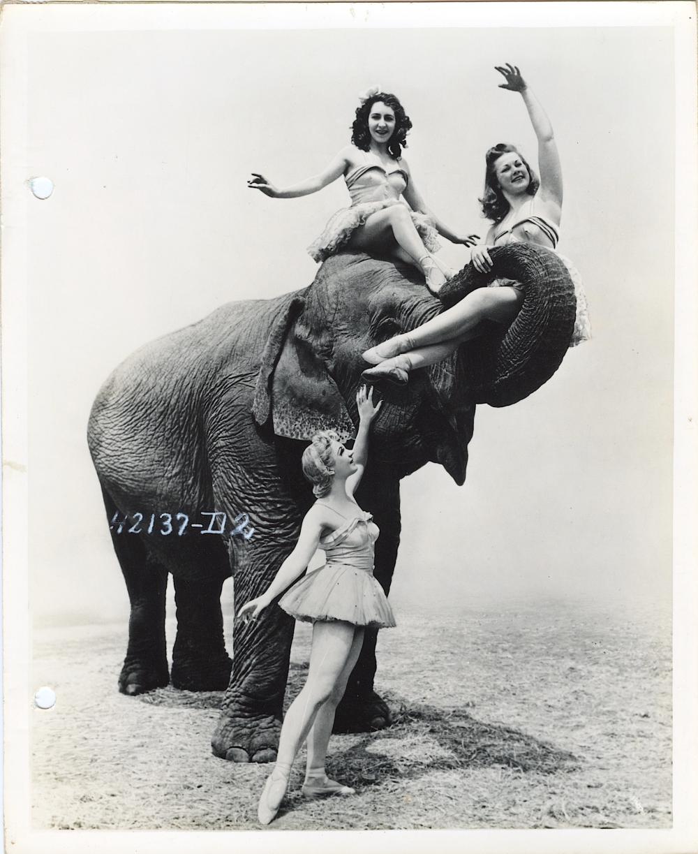 Lot - Vintage Real Photo Original Circus Actors Elephants