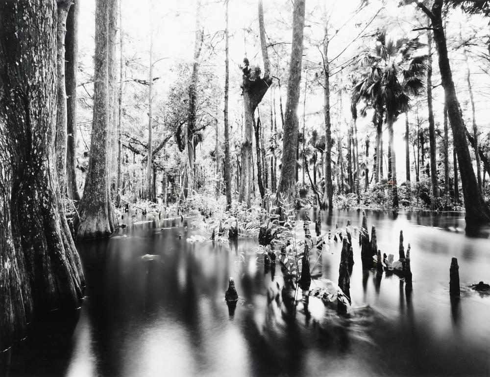 At Auction: Clyde Butcher, LARGE FORMAT CLYDE BUTCHER PHOTOGRAPH