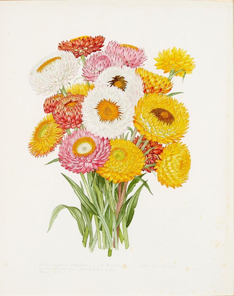 Margaret Stones Artwork for Sale at Online Auction | Margaret Stones ...